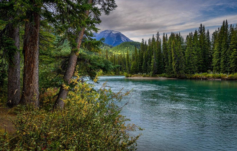 Banff National Park in Spring: Activities, Tips, and Weather Guide ...